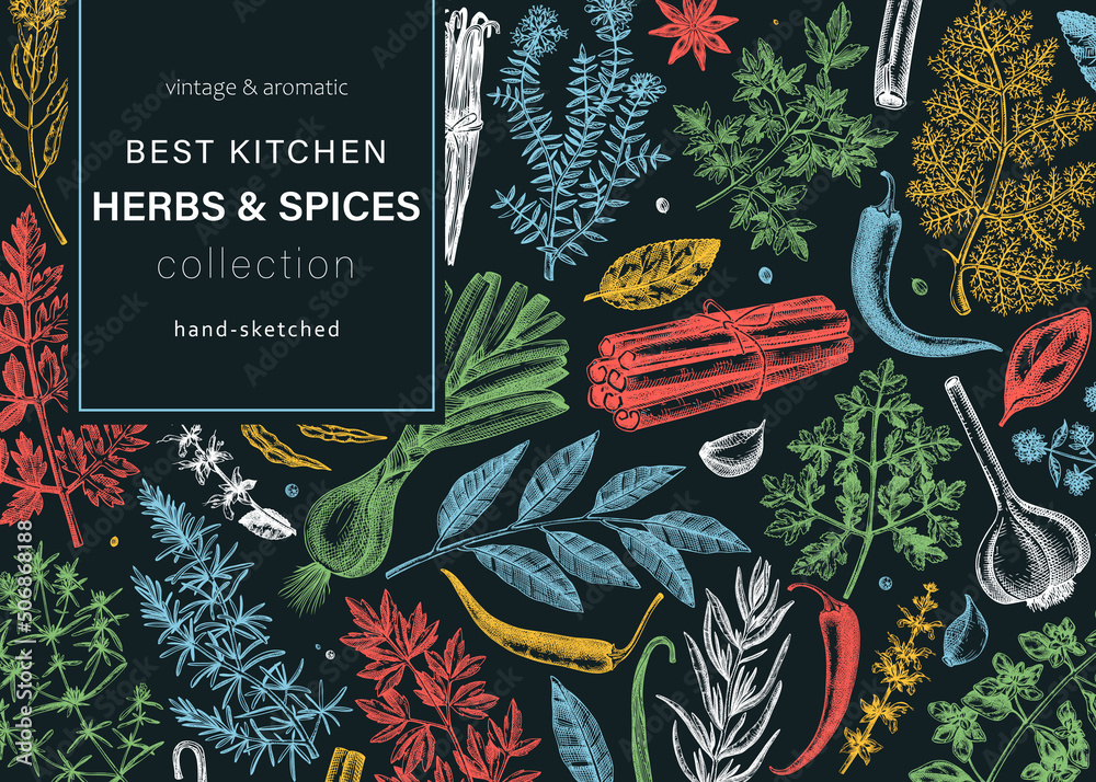 Hand-drawn herbs and spices vector banner. Hand-sketched food ...