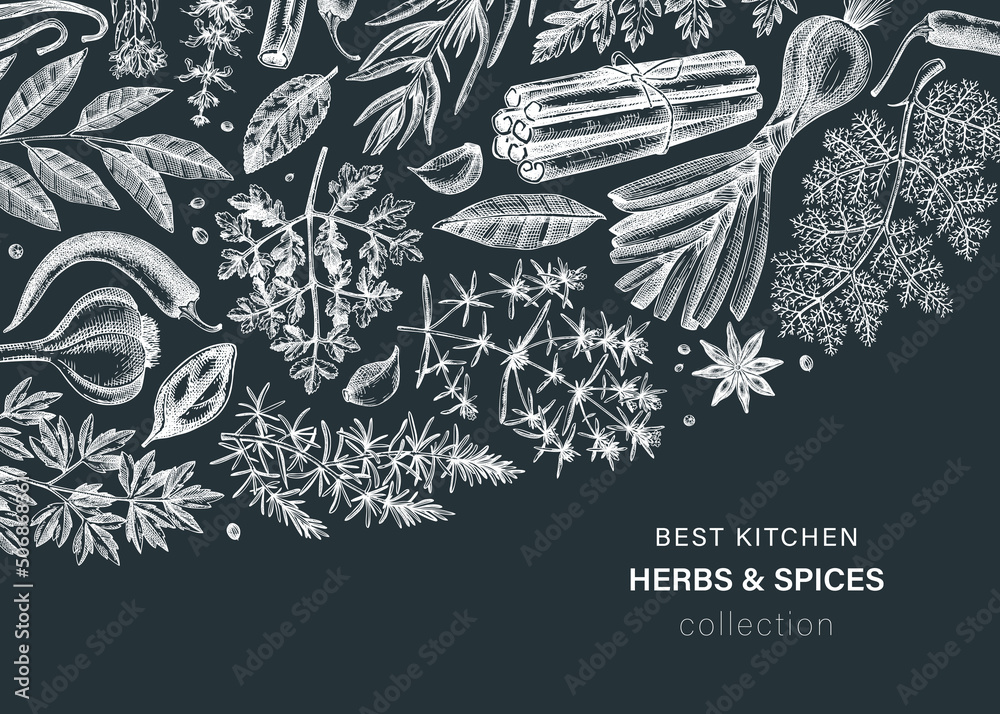 Hand-drawn herbs and spices vector banner. Hand-sketched food ...