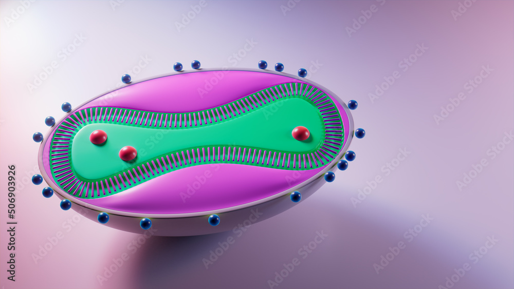 3D Illustration showing the Cell Structure of the Monkeypox Virus. 3D ...