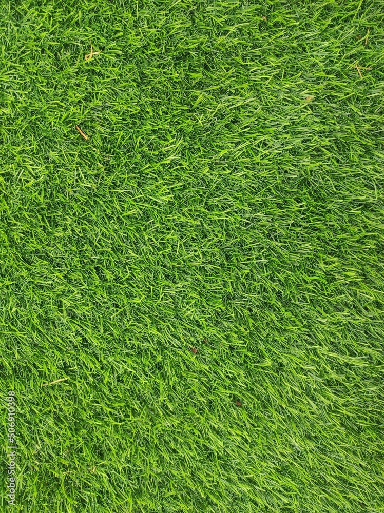 Sward texture.green grass texture.Artificial green grass texture ...