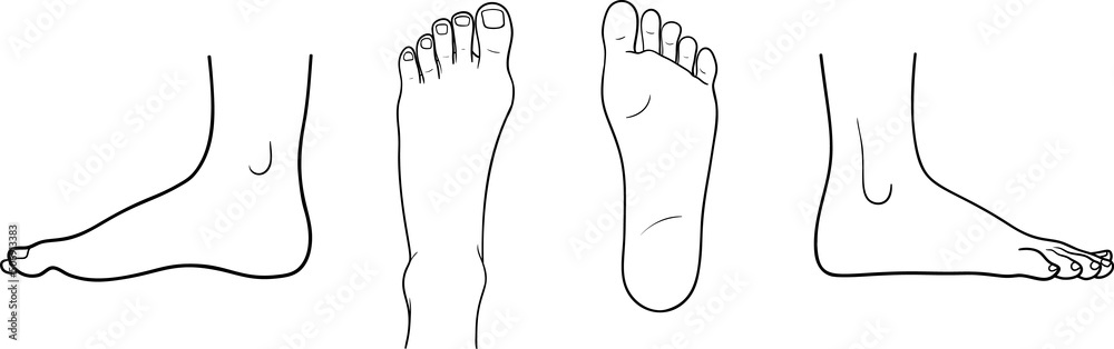 Human foot top back inner outer view vector illustration, male female ...