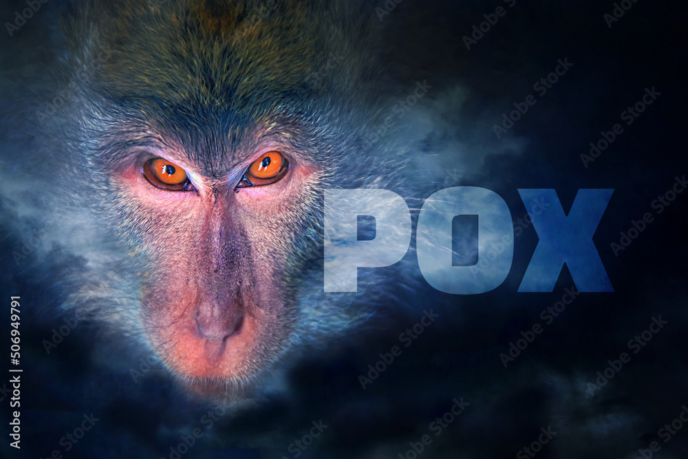 Wicked monkey portrait Stock Photo | Adobe Stock