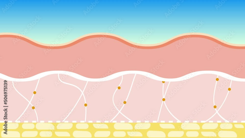 Skin collagen treatment and removing wrinkle 4K animation. Wrinkle ...