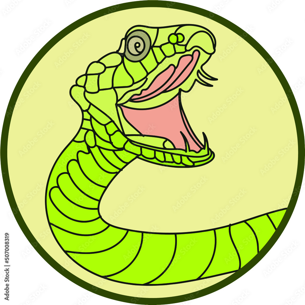 Snake Vector, Snake Logo, Color sketch drawing of snake, Snake head ...
