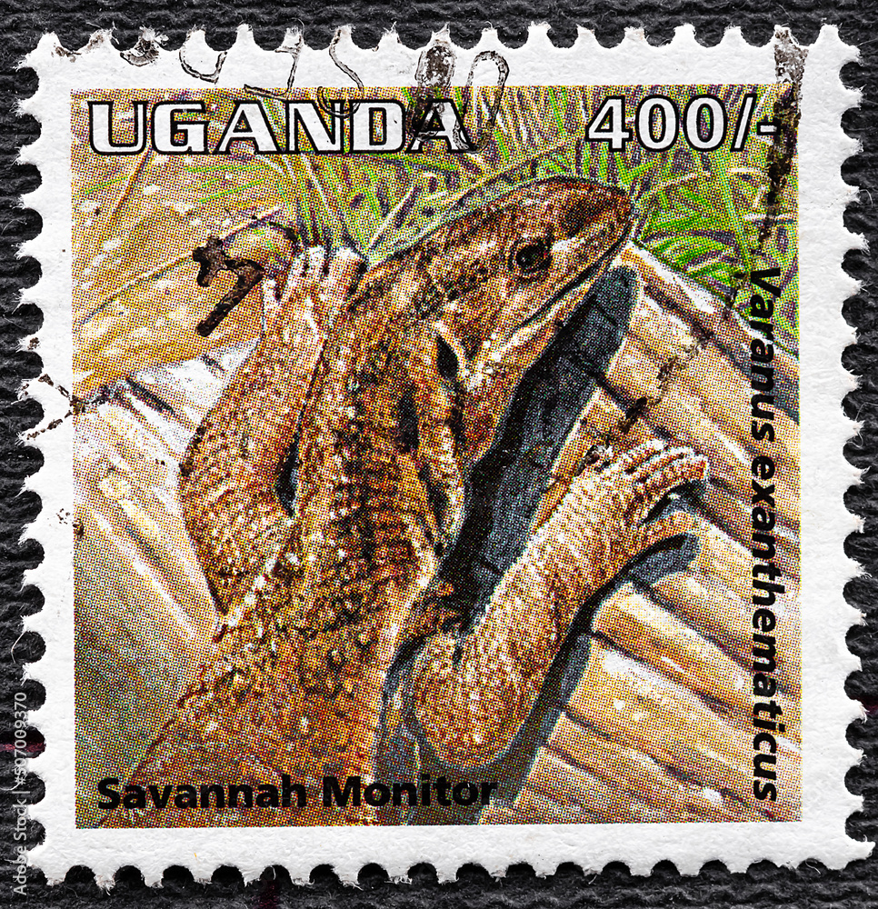 Uganda - CIRCA 1995: Three-horned chameleon on postage stampUganda ...