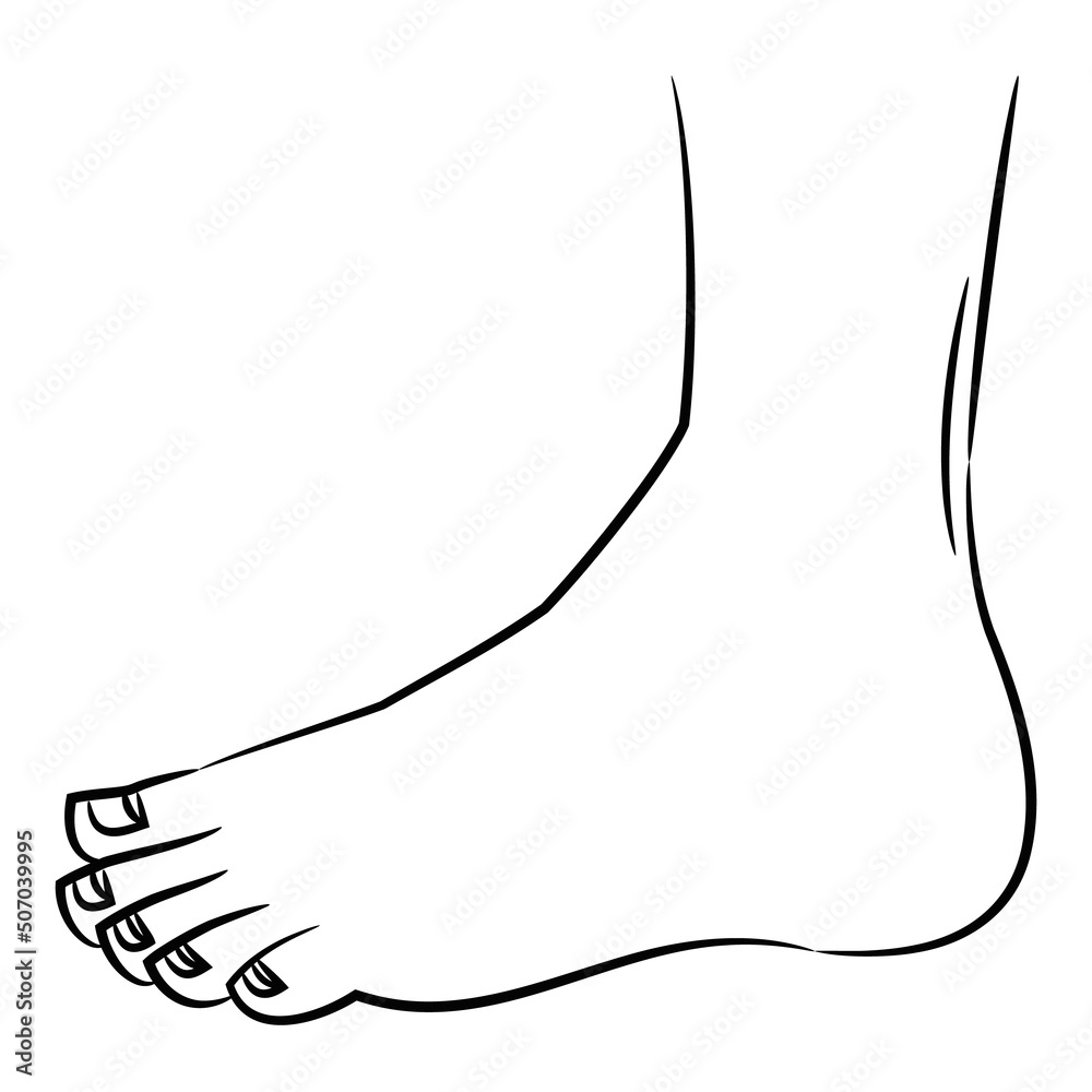 人体のパーツ 白黒のカットイラスト素材 / 足 Stock Vector | Adobe Stock