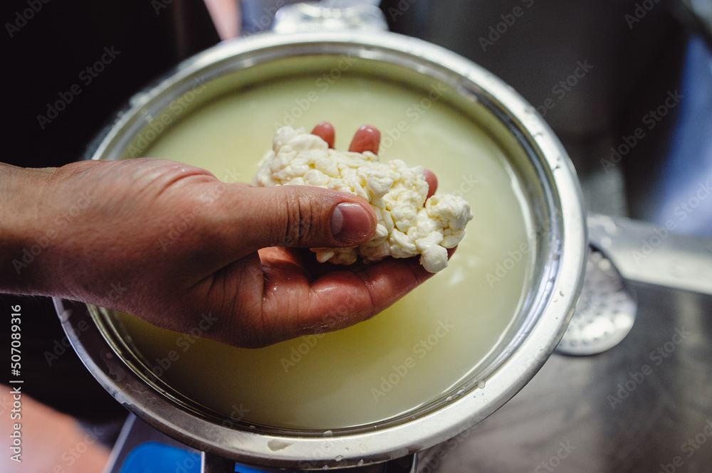 The home-made cheese maker produces handmade mozzarella with fresh ...