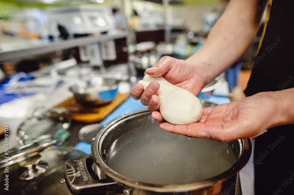 Italian hard cheese silano or caciocavallo in cheesemaker hands. The home-made cheese maker ...