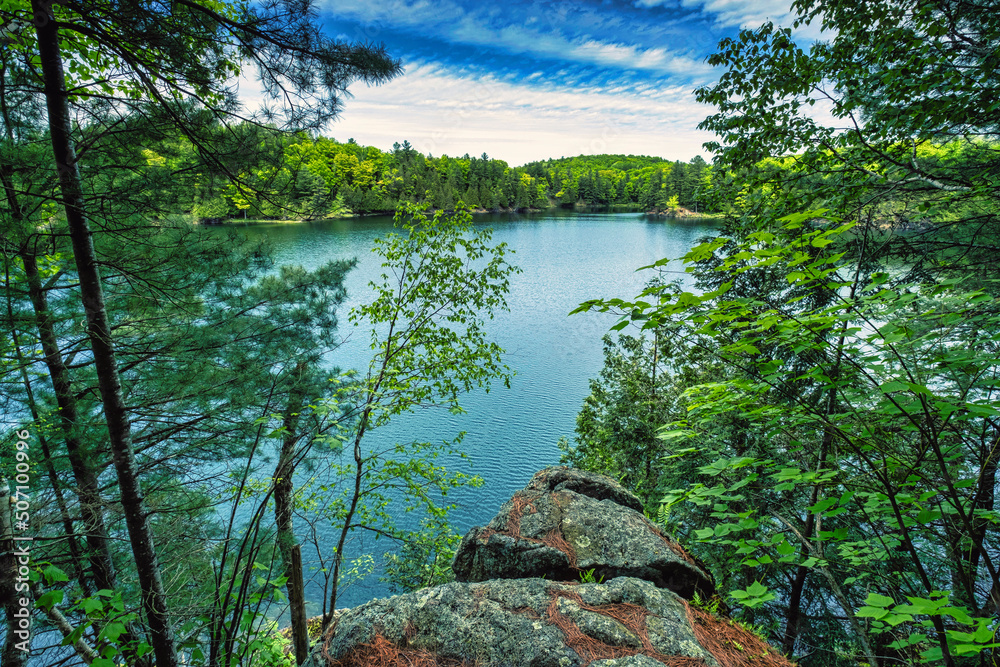 Canadian Shield Forestry