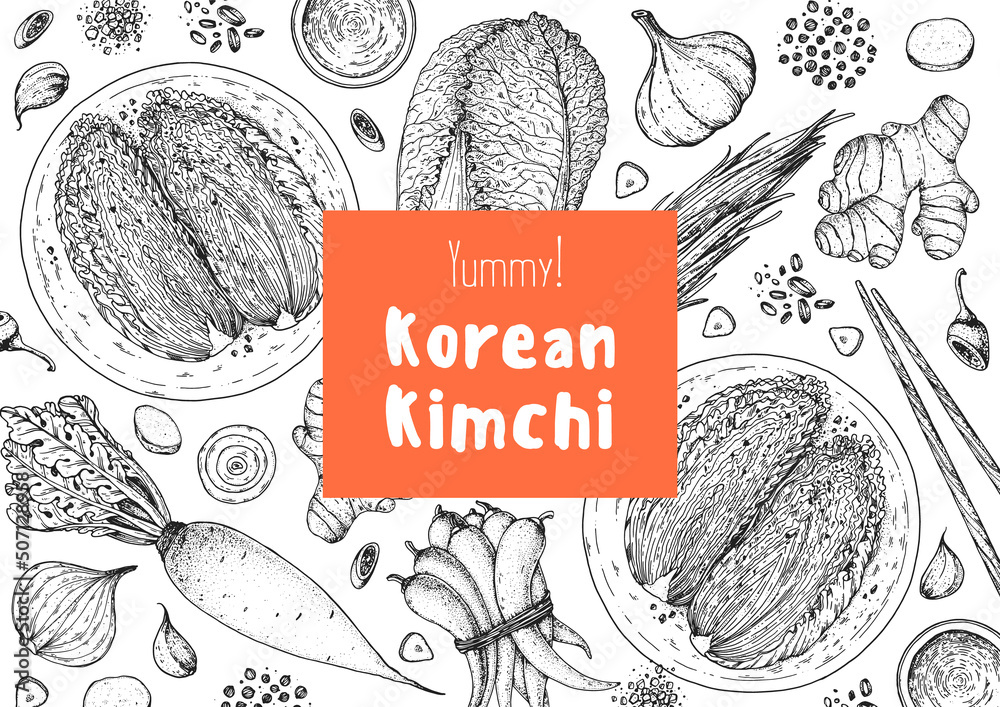 Kimchi cooking and ingredients for kimchi, sketch illustration. Korean ...