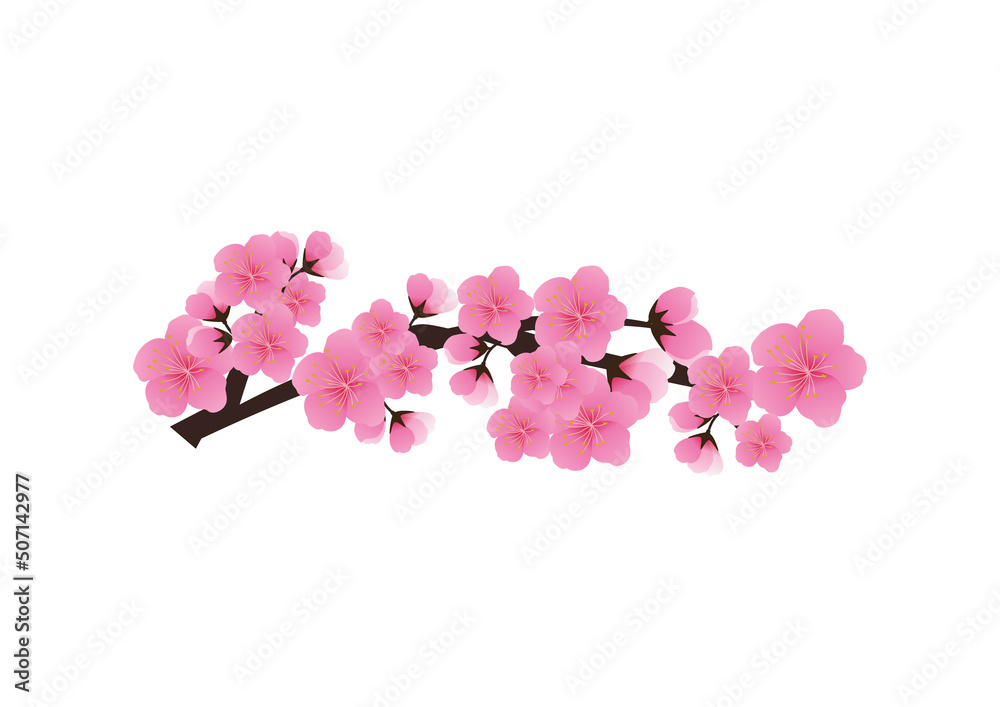 Cherry blossom flowers background. Sakura pink flowers background. Stock Vector | Adobe Stock