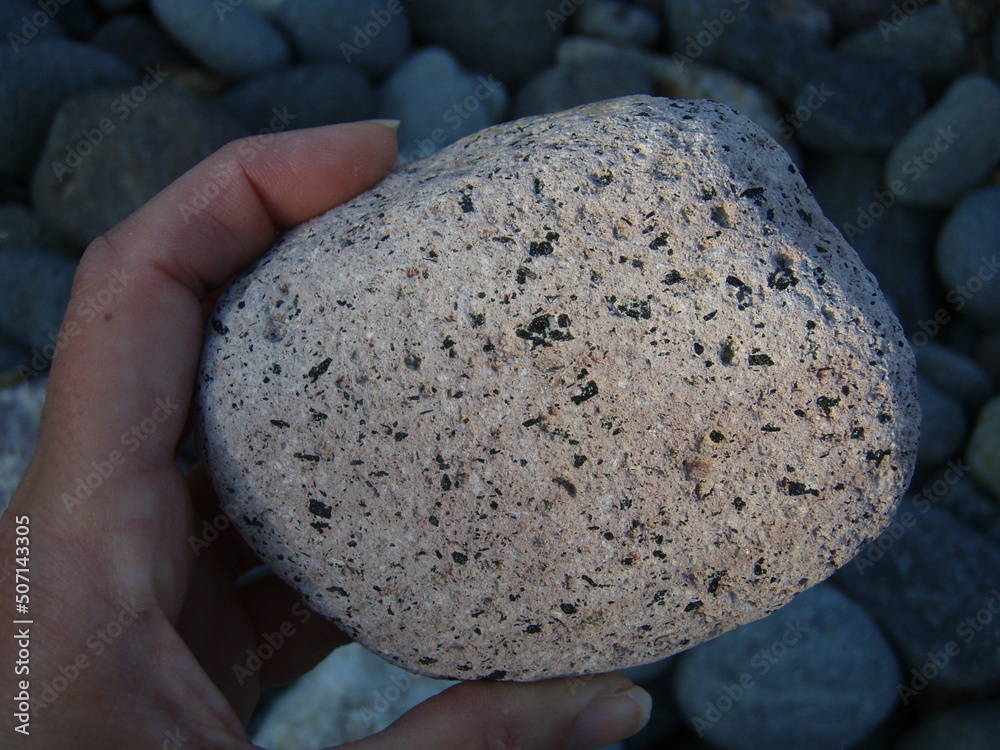 roca volcánica de color rosa con cristales negros y verdosos, canto ...