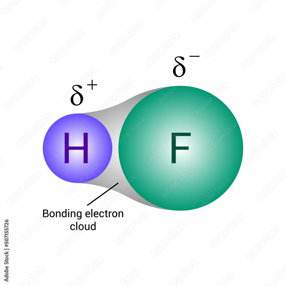 polar covalent bond of hydrogen fluoride (HF). vector illustration on ...