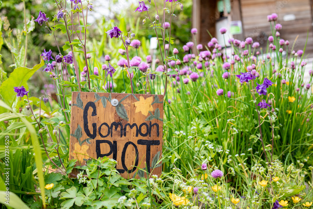 Poster Common plot garden sign in overgrown flower field with wood ...