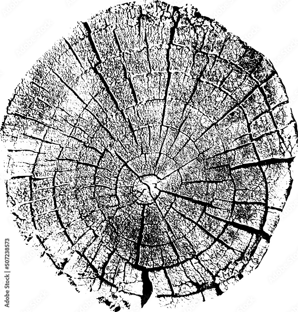 tree stump texture with a transparent background Stock Illustration ...
