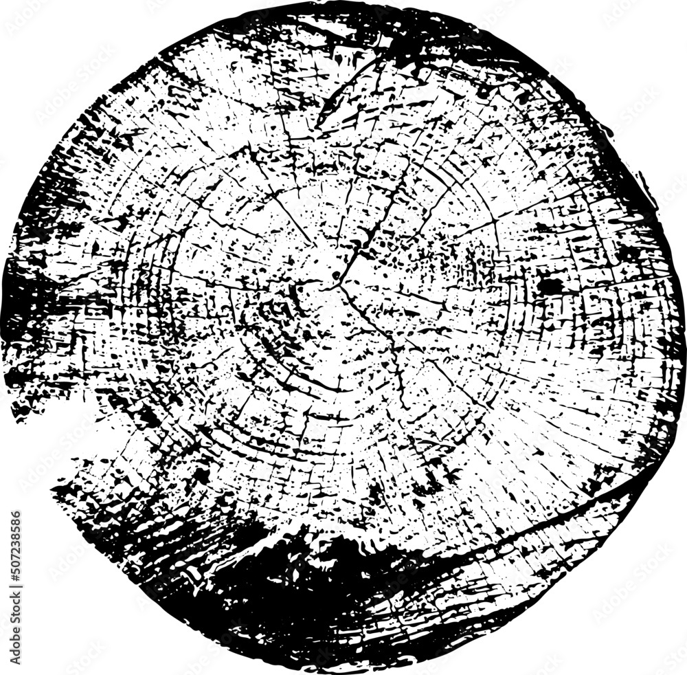 tree stump texture with a transparent background Stock Illustration ...