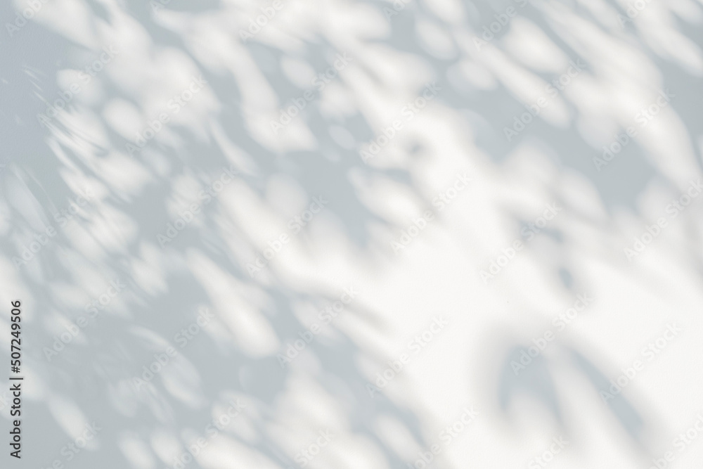 Tree shadow and leaf branch background. Nature leaves tropical jungle ...