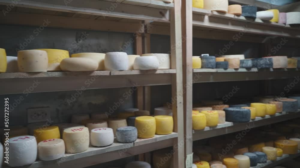 Farm cheese production. Cheese of different varieties on the shelves in ...