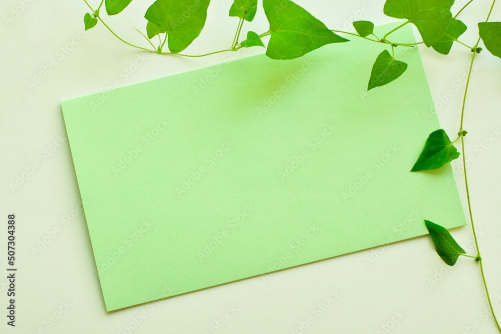 Mockup of blank light green card on white background with branch of ...
