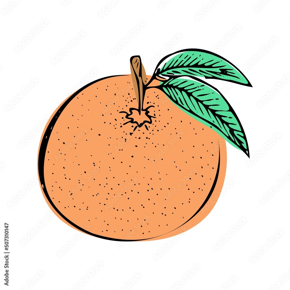 illustration in graphic style. orange. drawing by hand. illustration on ...