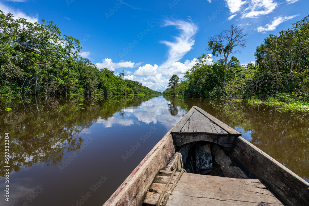 Amazon Rainforest Riverbank. Sailing down river Yanayacu at the Amazon ...