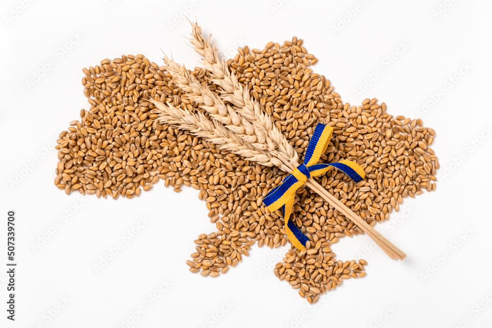 Map of Ukraine made of wheat kernels, wheat spikes and ribbon in colors ...