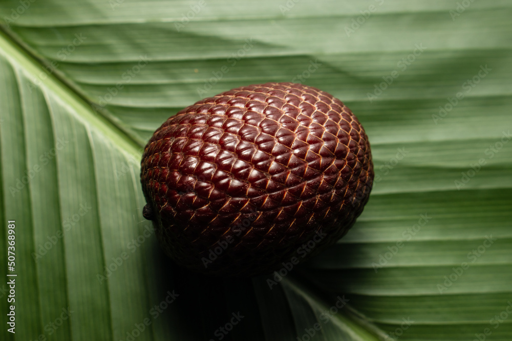 Aguaje is a highly appreciated fruit in the Amazon for its flavor and ...