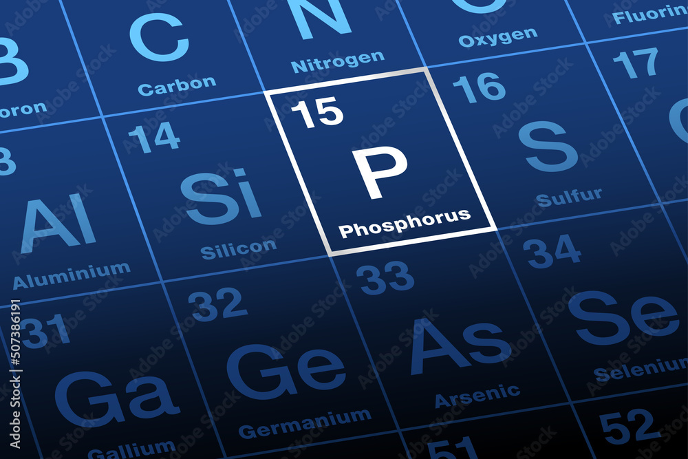 Phosphorus on periodic table of the elements. Chemical element with ...
