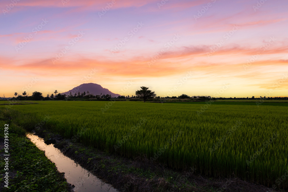 Beautiful scenery of rural nature with a green field in the area near ...