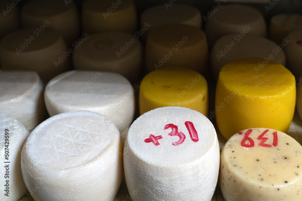Farm cheese production. Cheese of different varieties on the shelves in ...