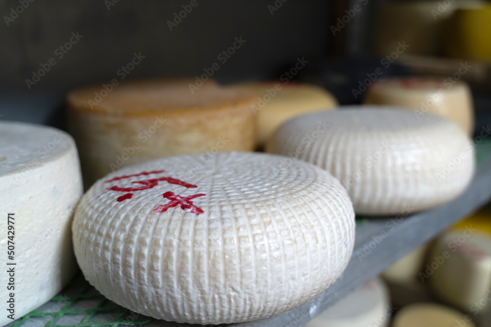 Farm cheese production. Cheese of different varieties on the shelves in ...