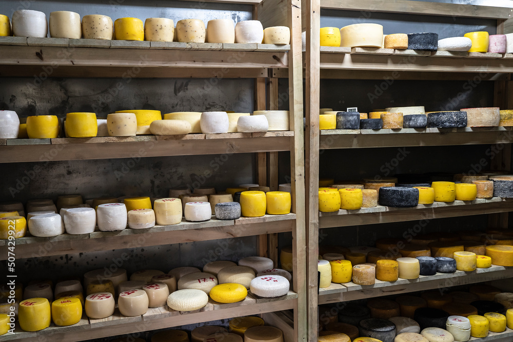 Farm cheese production. Cheese of different varieties on the shelves in ...