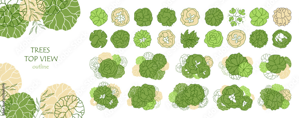 Set of vector trees. Entourage design for the plan. Various trees ...