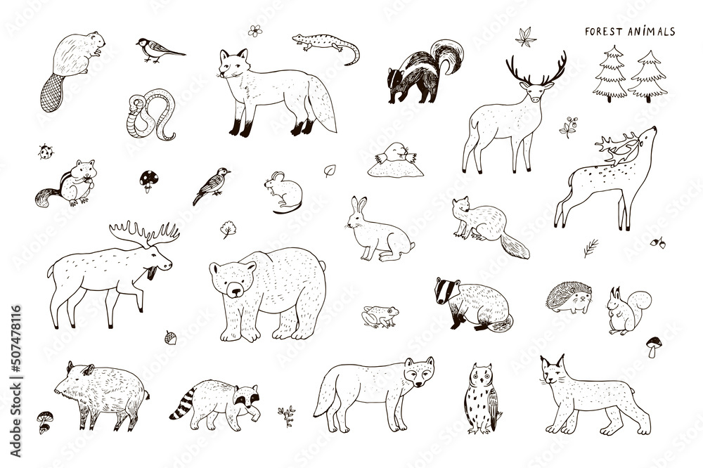 Forest animals vector line illustrations set Stock Vector | Adobe Stock