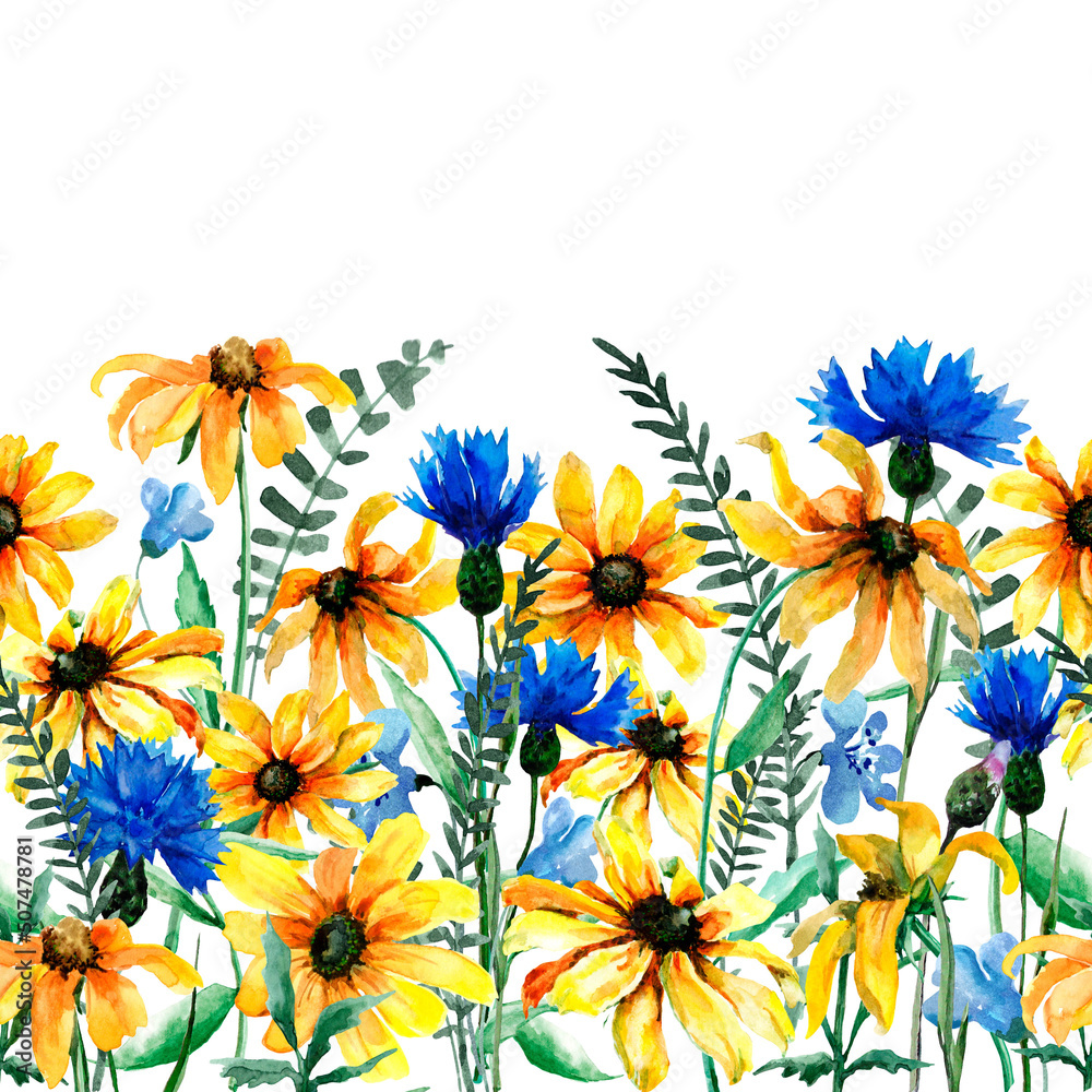 Seamless summer border of meadow flowers of blue cornflower, yellow ...