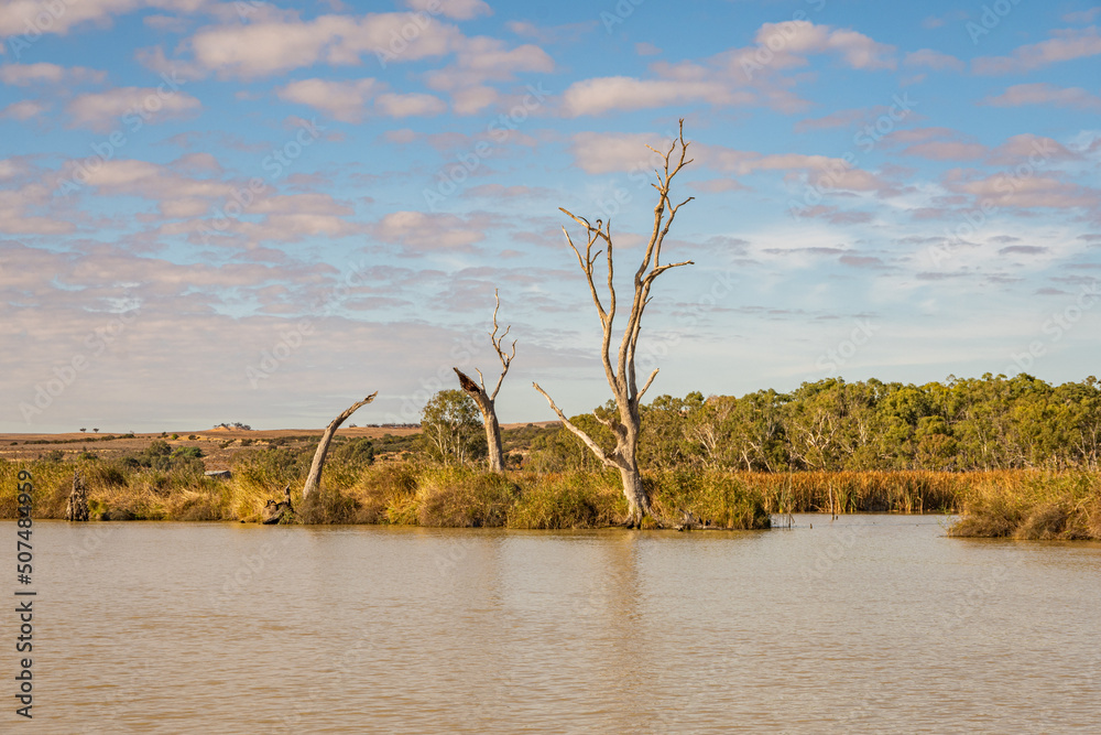 The Murray River in South Australia has many pristine environments ...