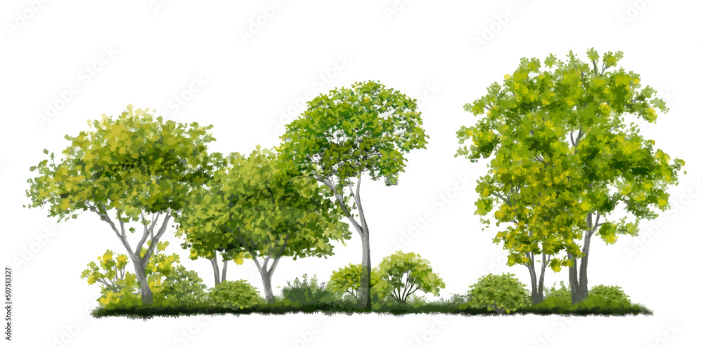 Vector watercolor of forest or tree side view isolated on white ...