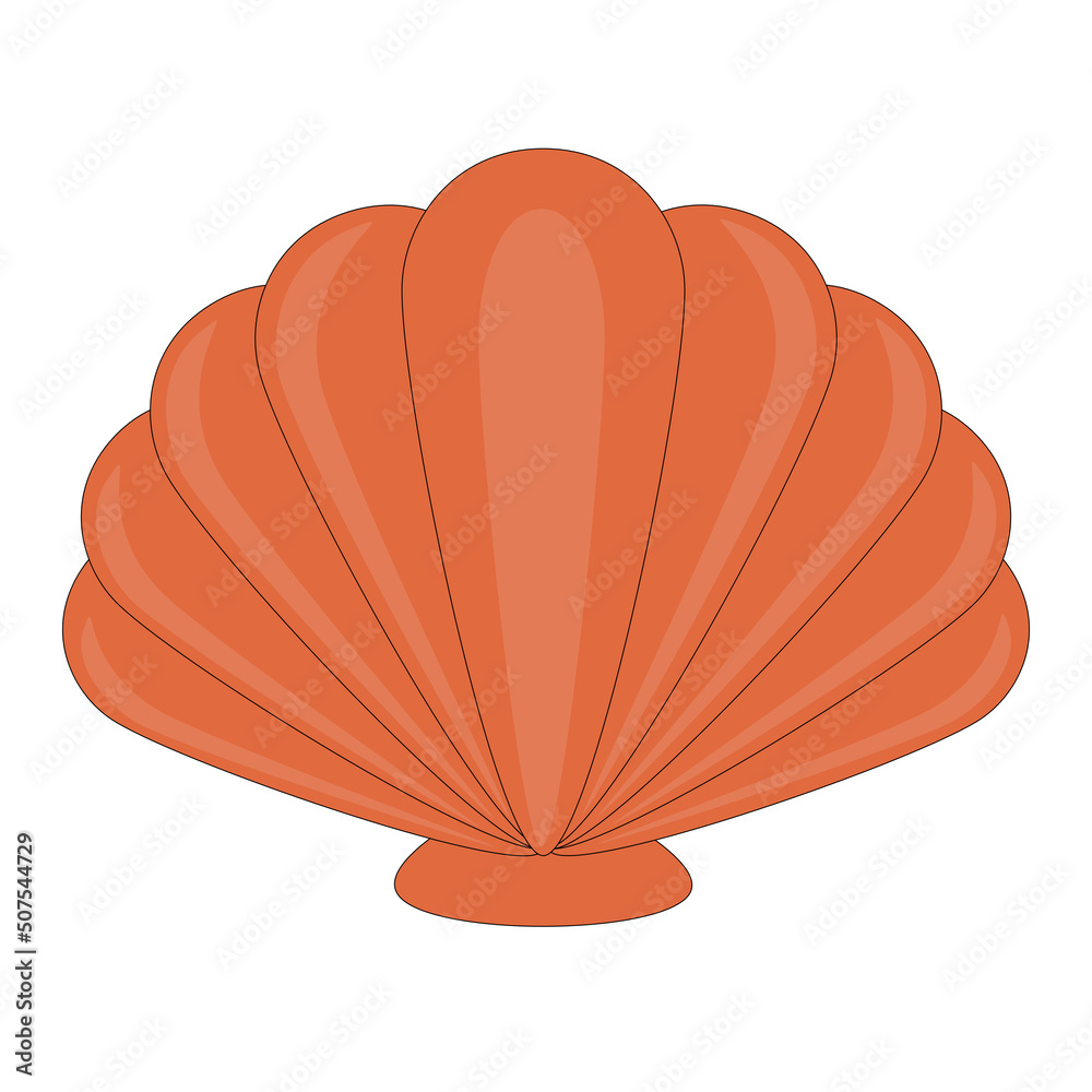 Muschel Stock Vector | Adobe Stock