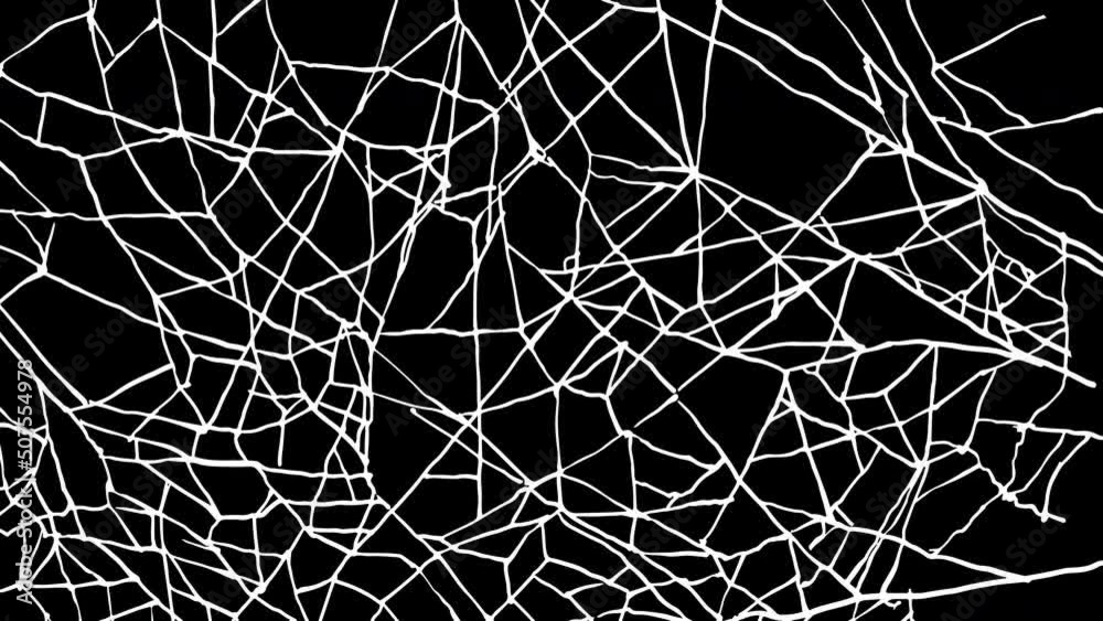 Creeping webs on a black screen. Simple animation of weaving spider ...