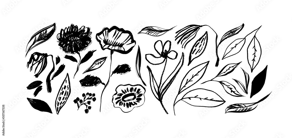Simple linear flowers and herbs isolated on white. Hand drawn vector ...