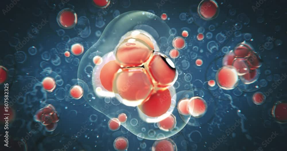 Cell division, zygote, protoplasm in a microscope, medical background ...