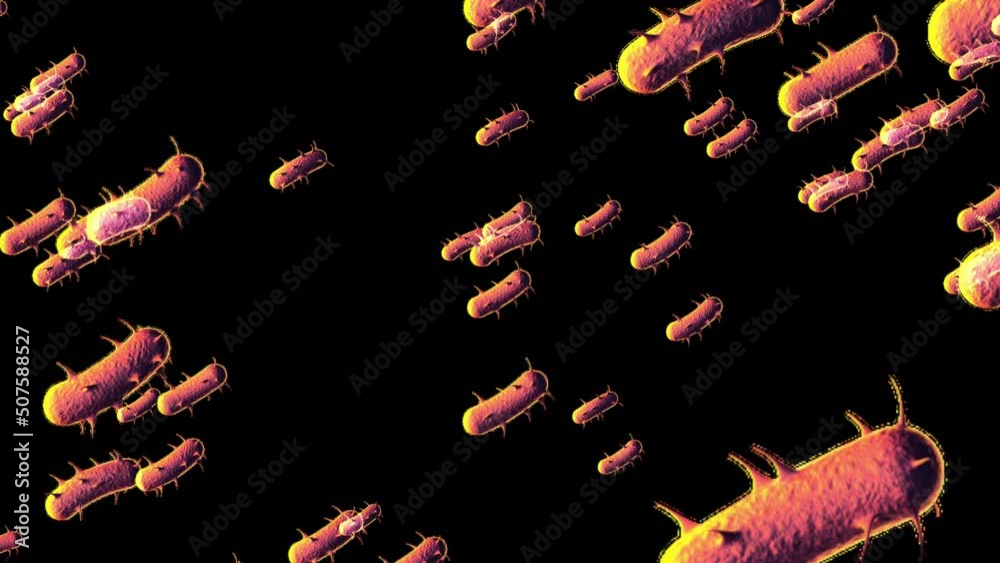 Vidéo Stock Abstract magnified under a microscope terry tuberculus ...