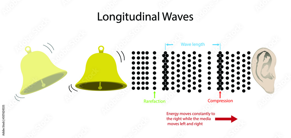 illustration of physics, Longitudinal waves are waves in which the ...