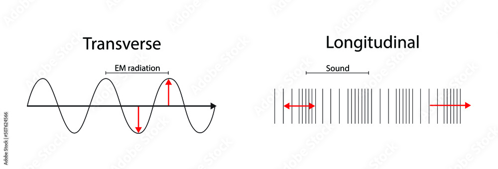 Poster illustration of physics, Mechanical Waves Transverse Waves And ...