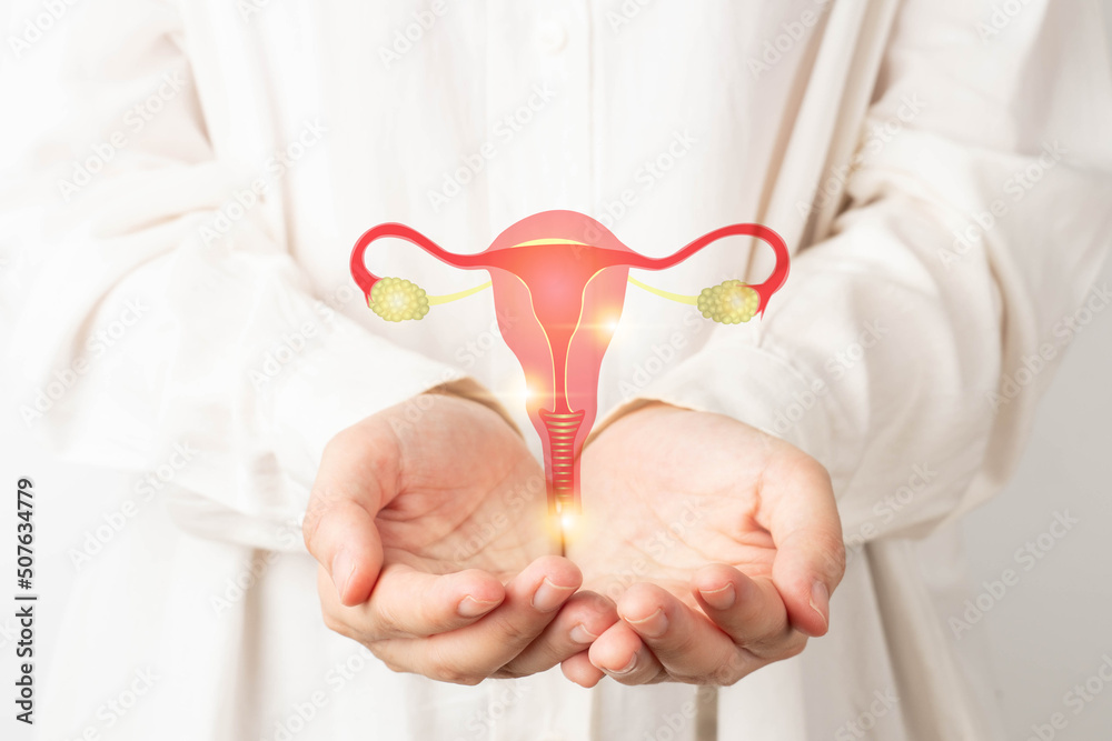 Healthy uterus and ovaries anatomy on doctor hands. Awareness of women ...