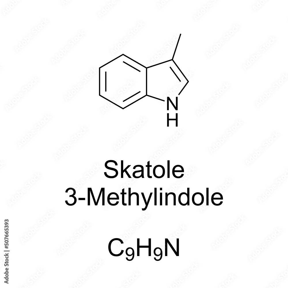 Skatole, 3-methylindole, chemical formula and structure. Organic ...