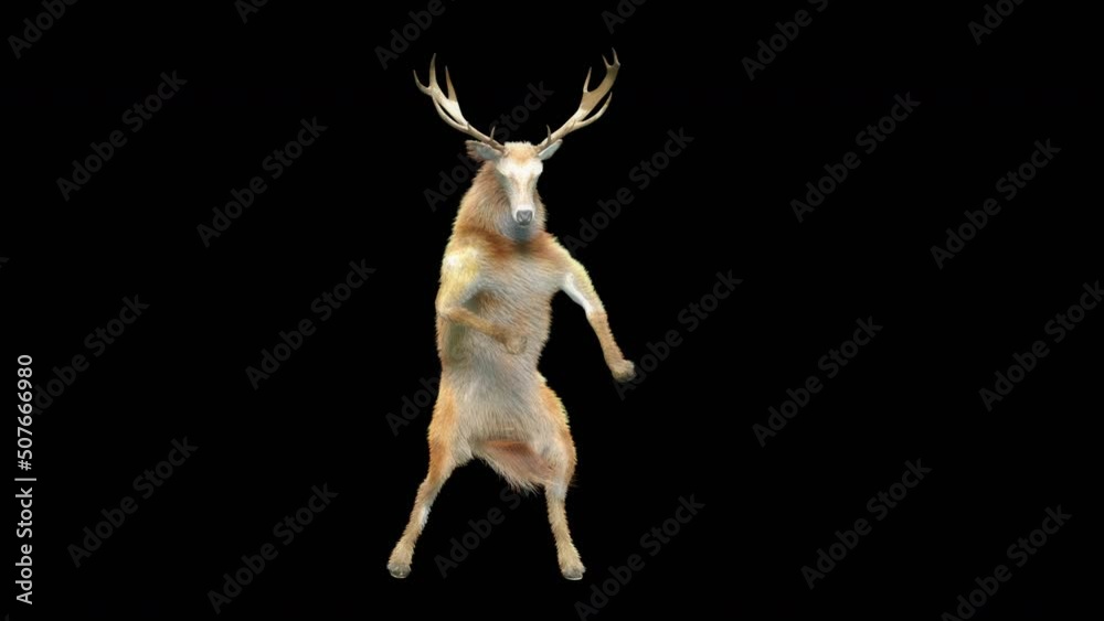 Deer Dancing CG fur 3d rendering animal realistic CGI VFX Animation ...