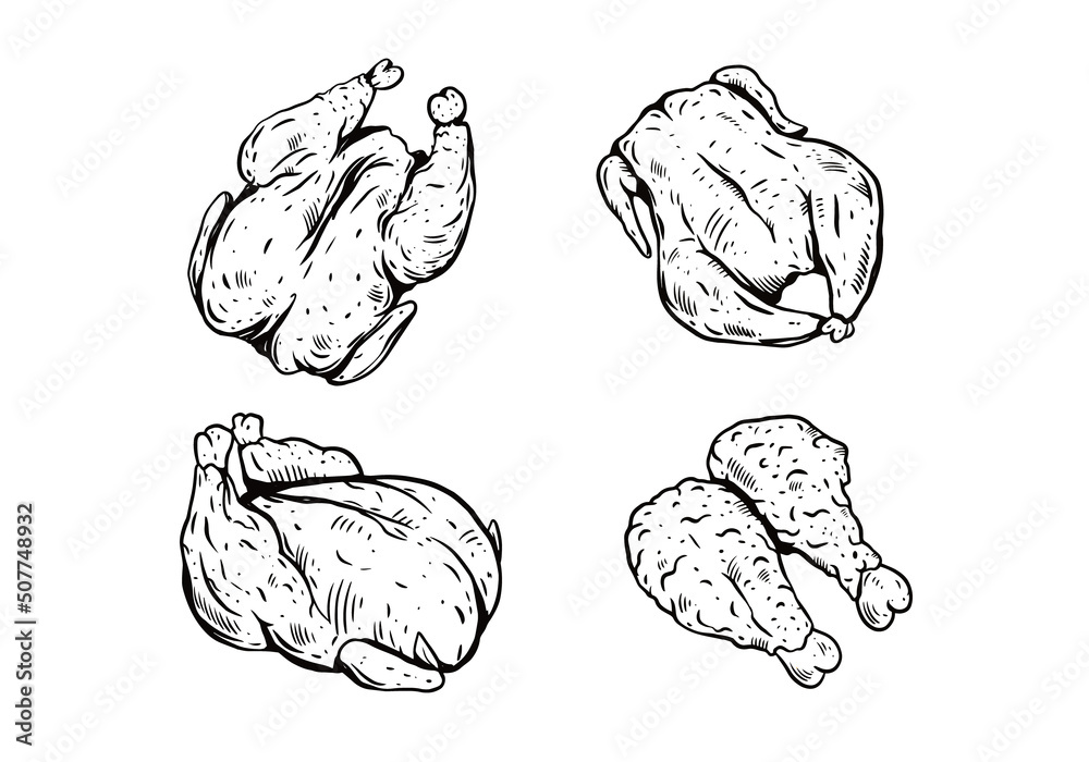 Hand drawn sketch chicken set. Black color vector illustration. Stock ...