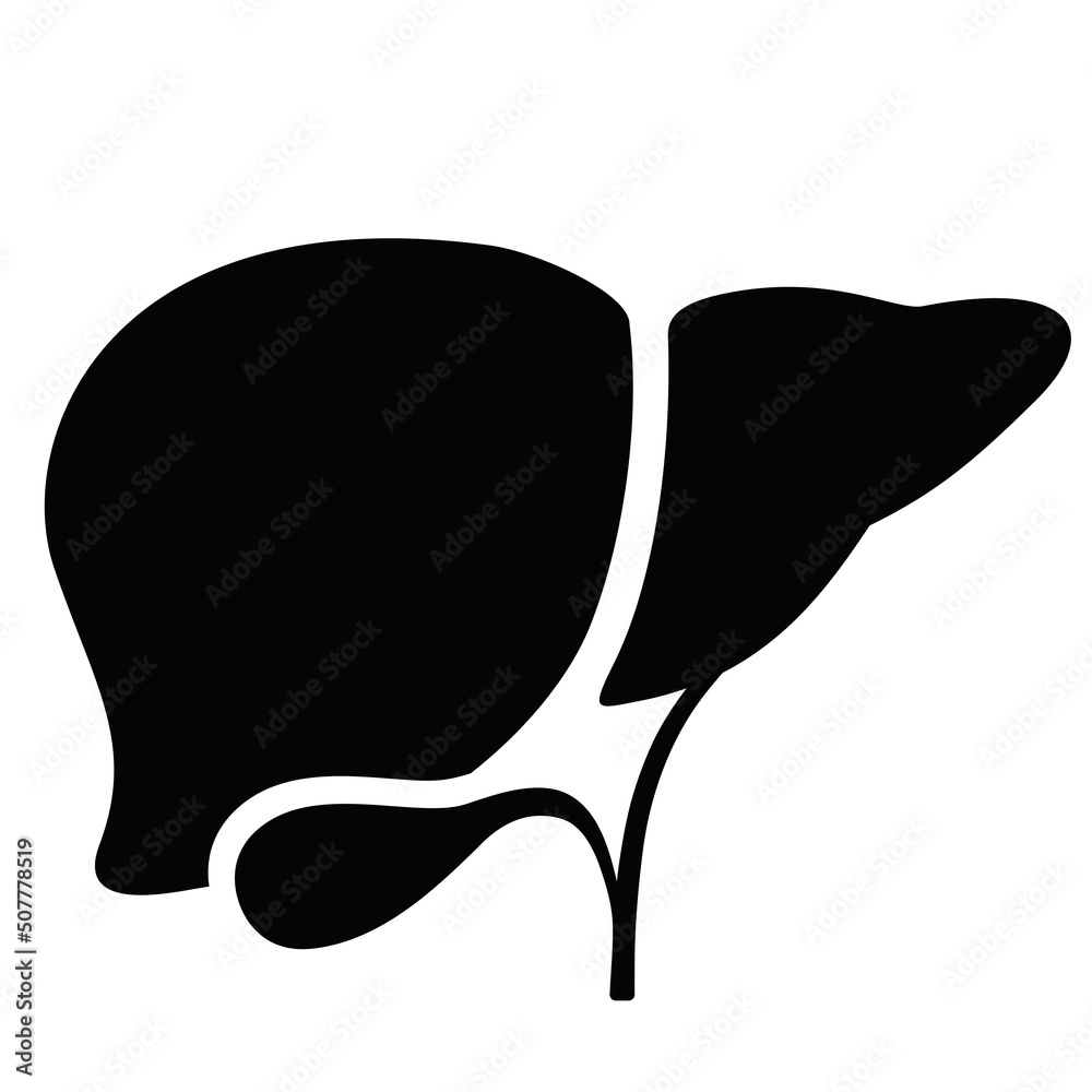 Liver silhouette vector icon Stock Vector | Adobe Stock