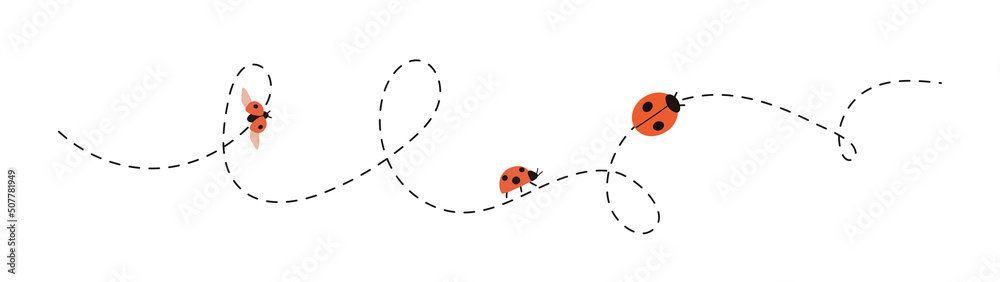 Cartoon ladybugs fly and crawl along the dotted line. Dotted line ...